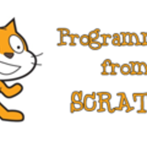 SCRATCH Programming Concepts: Catch SCRATCH!