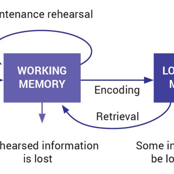Cognitive Load and A-Level programming