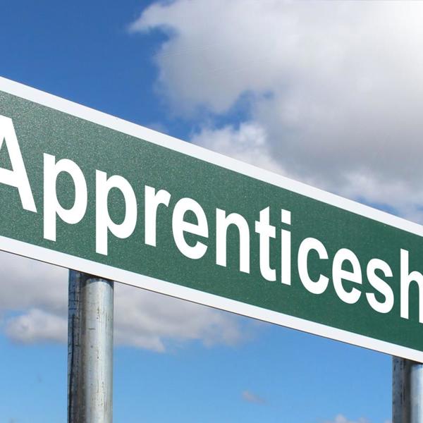 Degree Apprenticeships