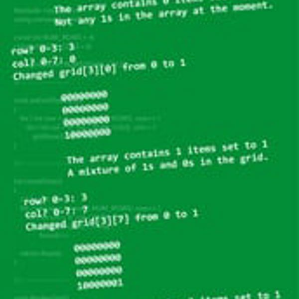 Interactive demo! 2D Array - Flipping bits