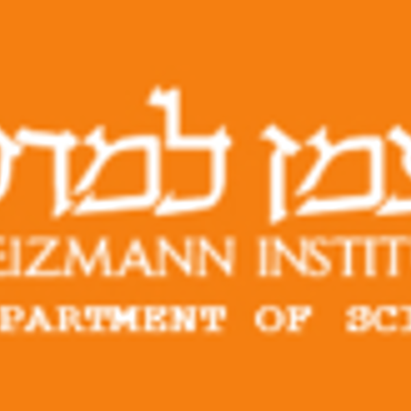 Computer Science Concepts in Scratch